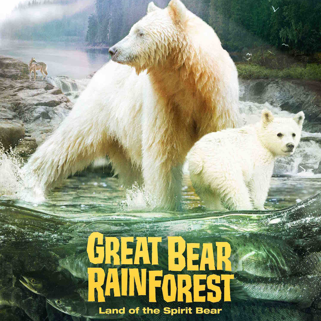 Movie Spirit Bear 60 Photos - Moonagedaydream.film